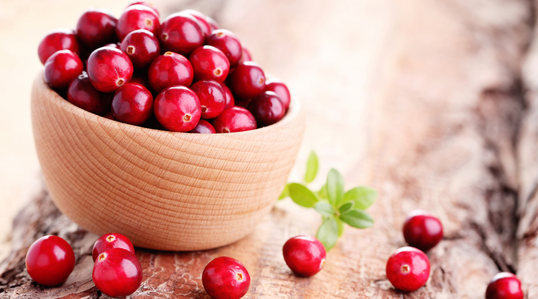 Cranberry – Anicura Ireland